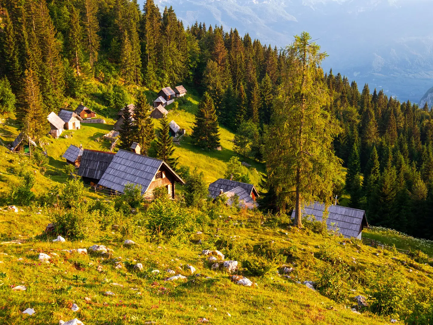 Pokljuka Plateau Trails: 18 km Loop in Slovenia - HikeList