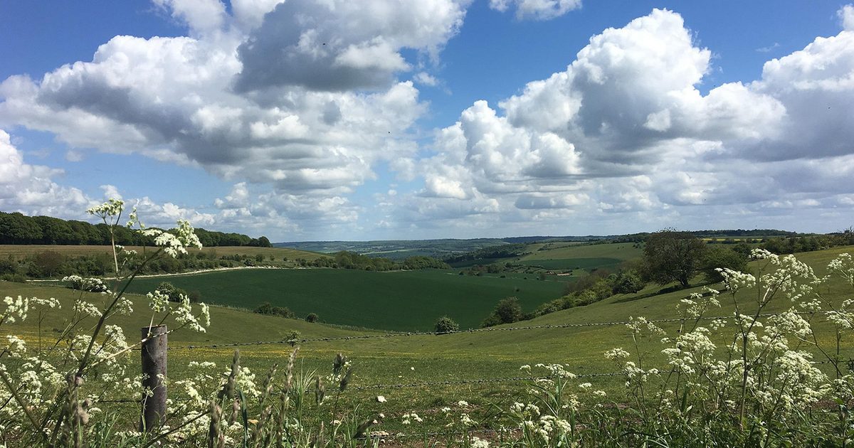 Wessex Ridgeway Hiking Guide: Route, Stages & Tips - HikeList